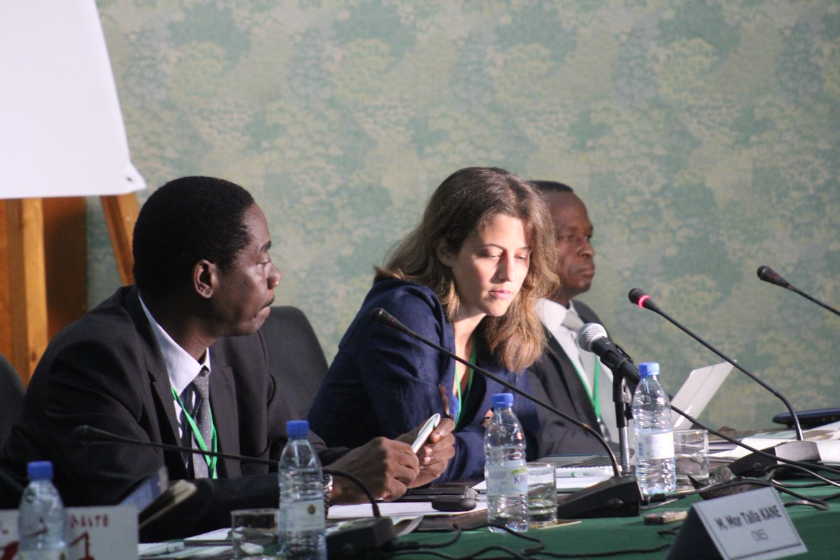 UN-Habitat at the “Climate Change and Resilience” conference, Dakar