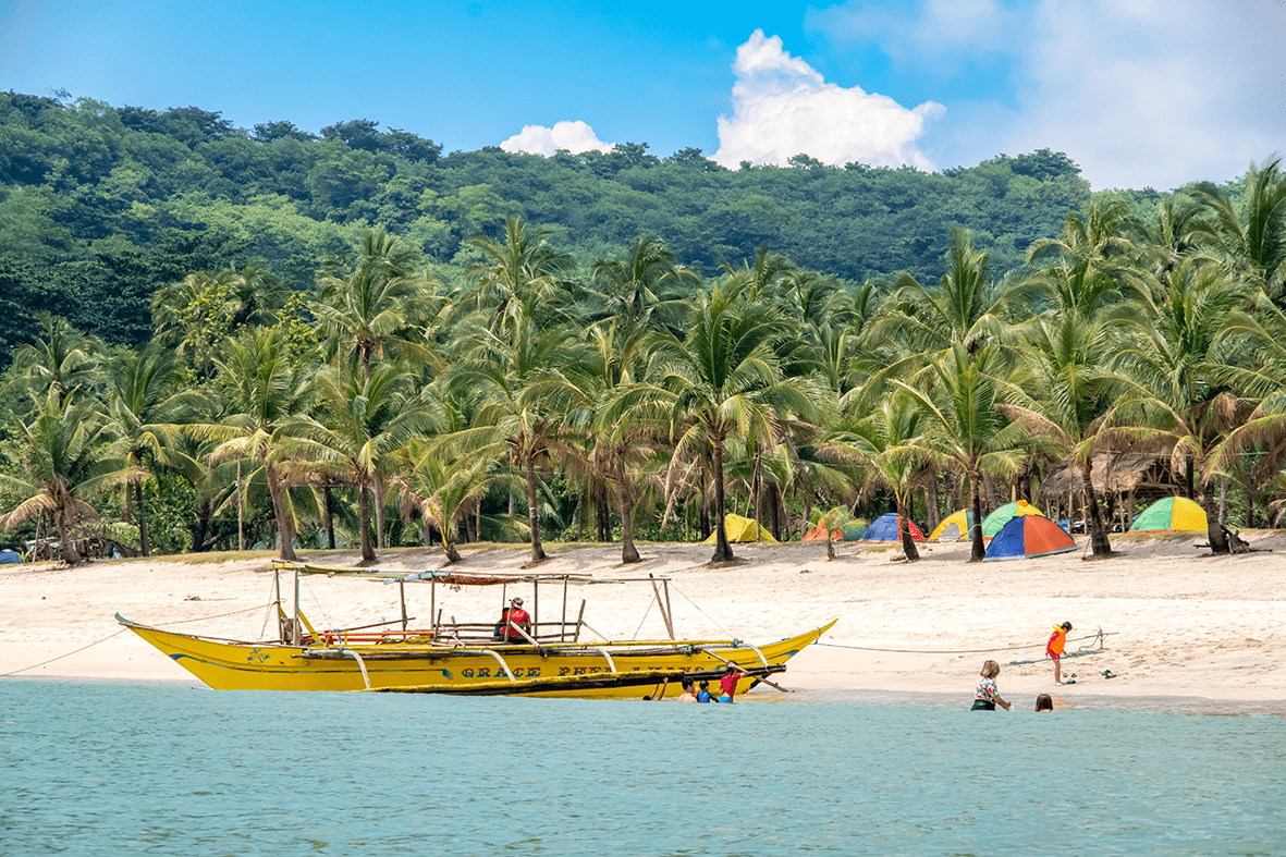 Resilience and typhoons